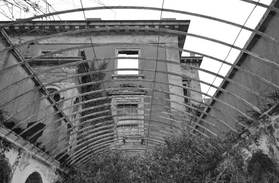 6 Mayfield House Portlaw © Stuart Blakley Lavender’s Blue – Lavender's Blue