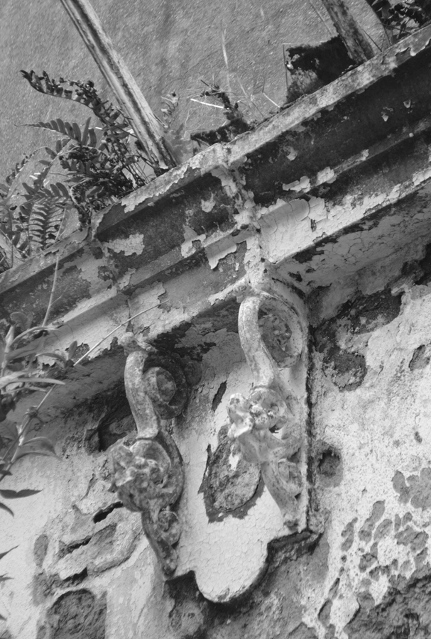 7 Mayfield House Portlaw © Stuart Blakley Lavender’s Blue – Lavender's Blue